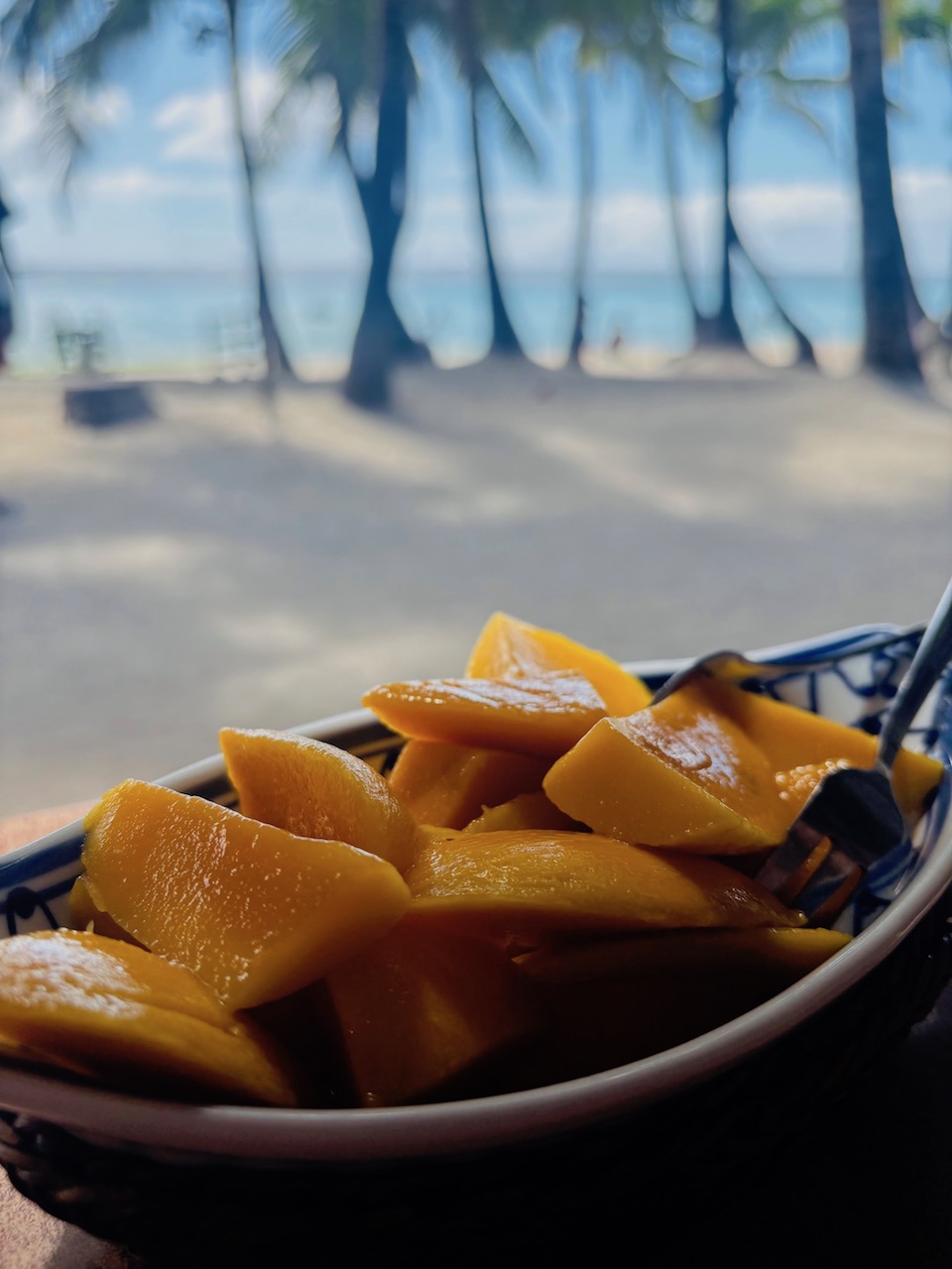 Visiting Boracay: A Tropical Paradise in the Philippines - Ashley Paige ...