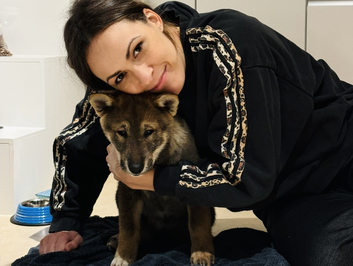 Life in Japan: Surprising Things About Owning a Dog in Tokyo - Ashley ...