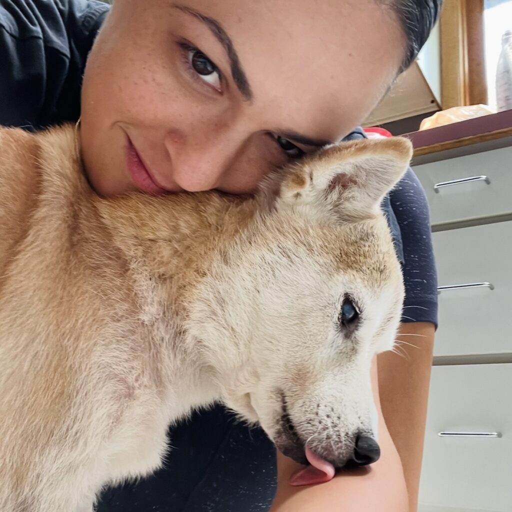 Living with Japanese Dog Breeds: Part 1 Shiba Inu - Ashley Paige Adventures